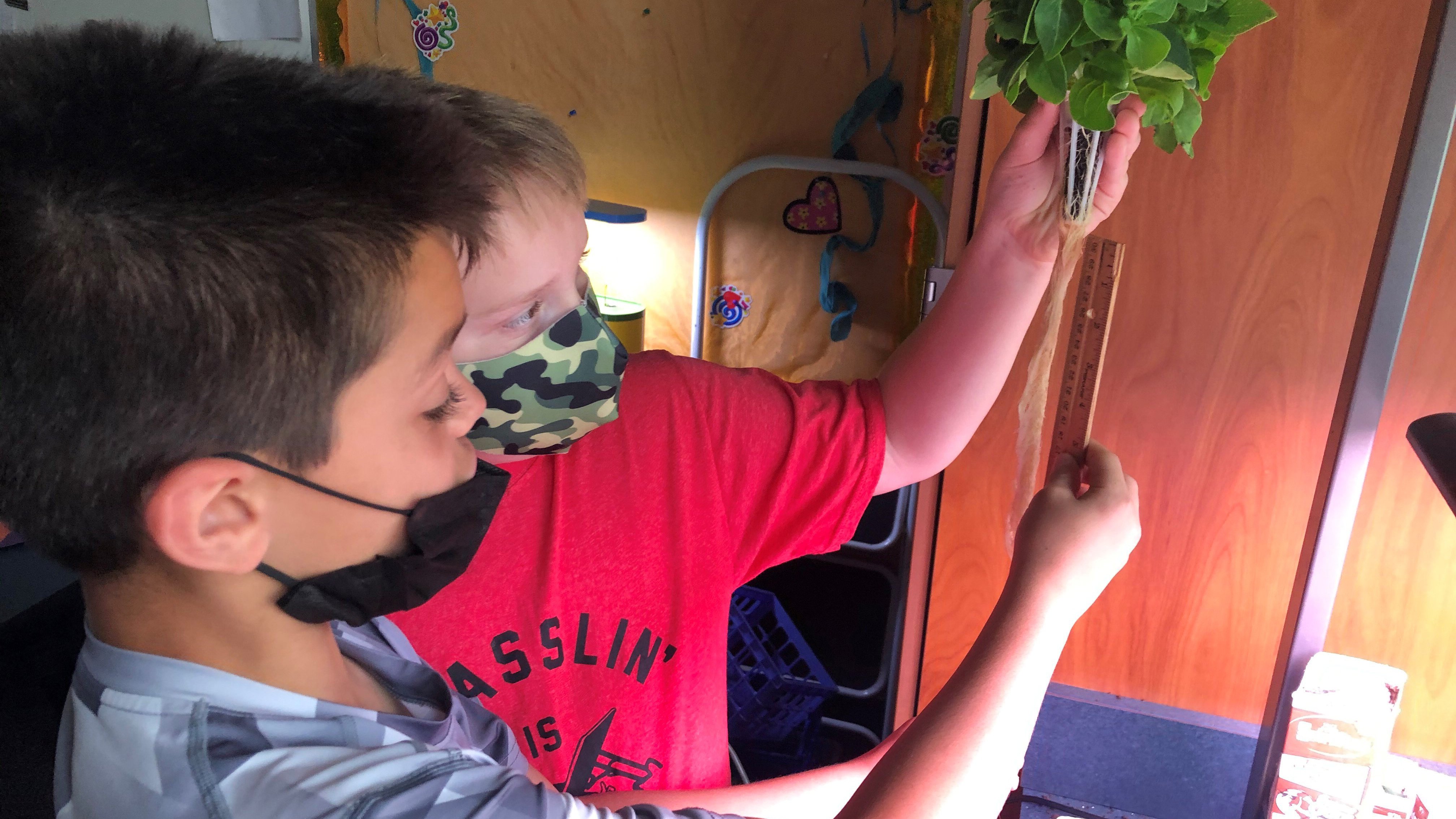 Growing With Math growing-with-math